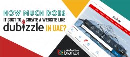How much does it cost to create a website like Dubizzle in UAE?Branex Official Blog